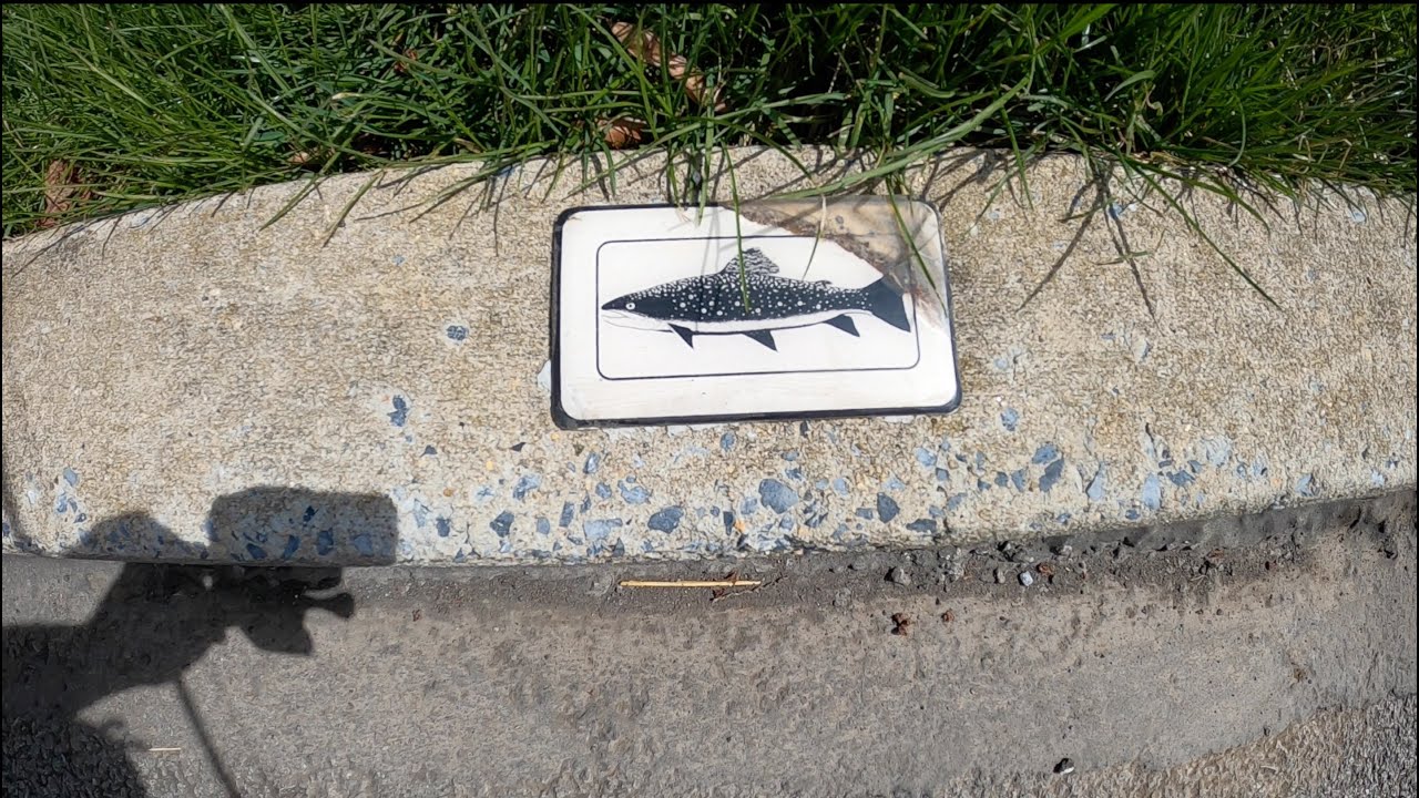 Letort Spring Run. Some of the Most Difficult Trout Fishing in the ...