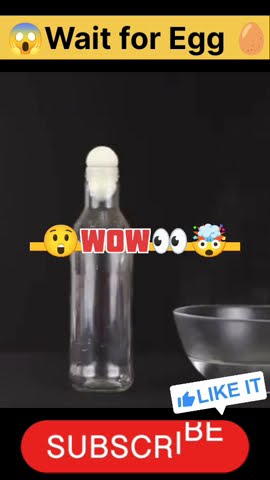 Wait for Eggs 😱 Experiment video||#shorts #respect #youtubeshorts # ...