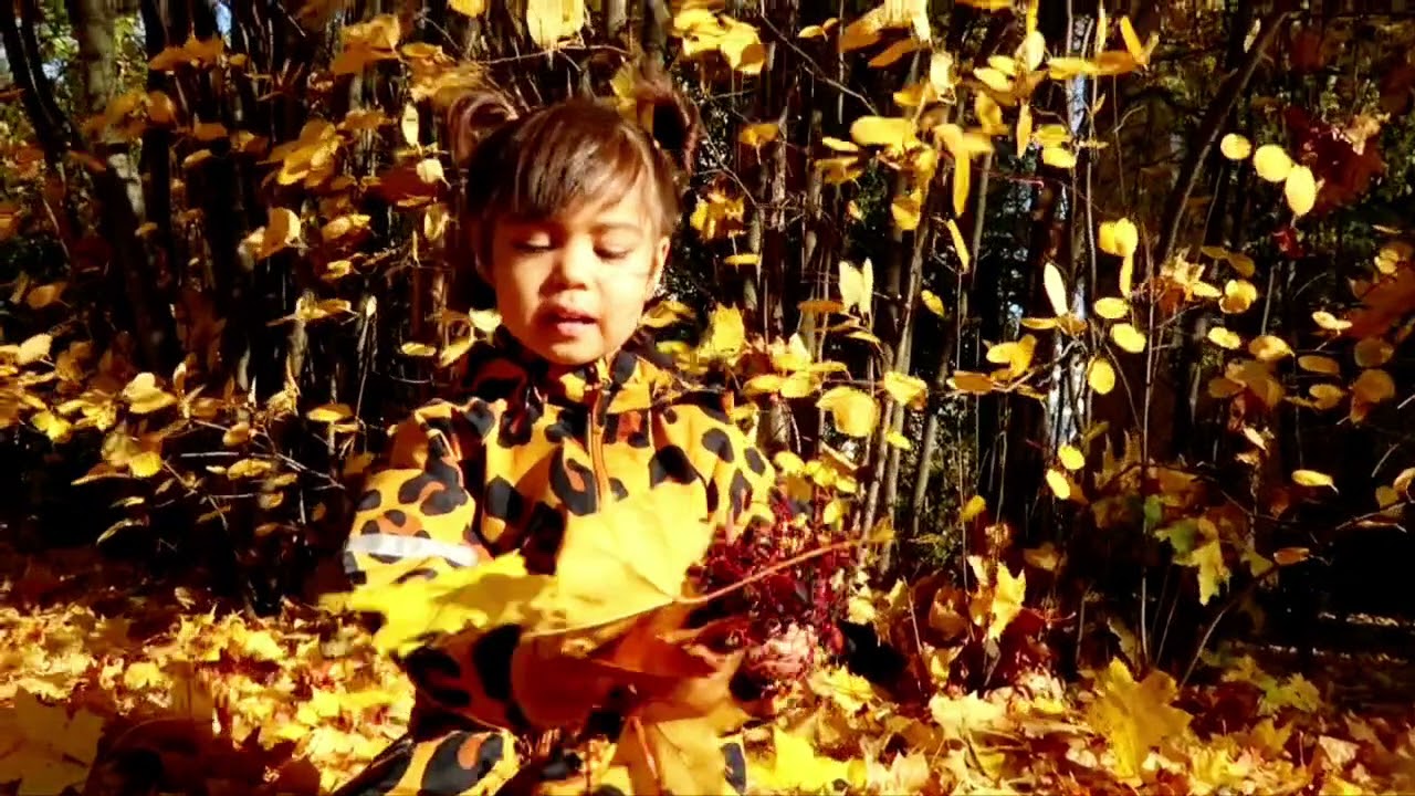 Pää, olkapää, peppu, polvet varpaat - YouTube