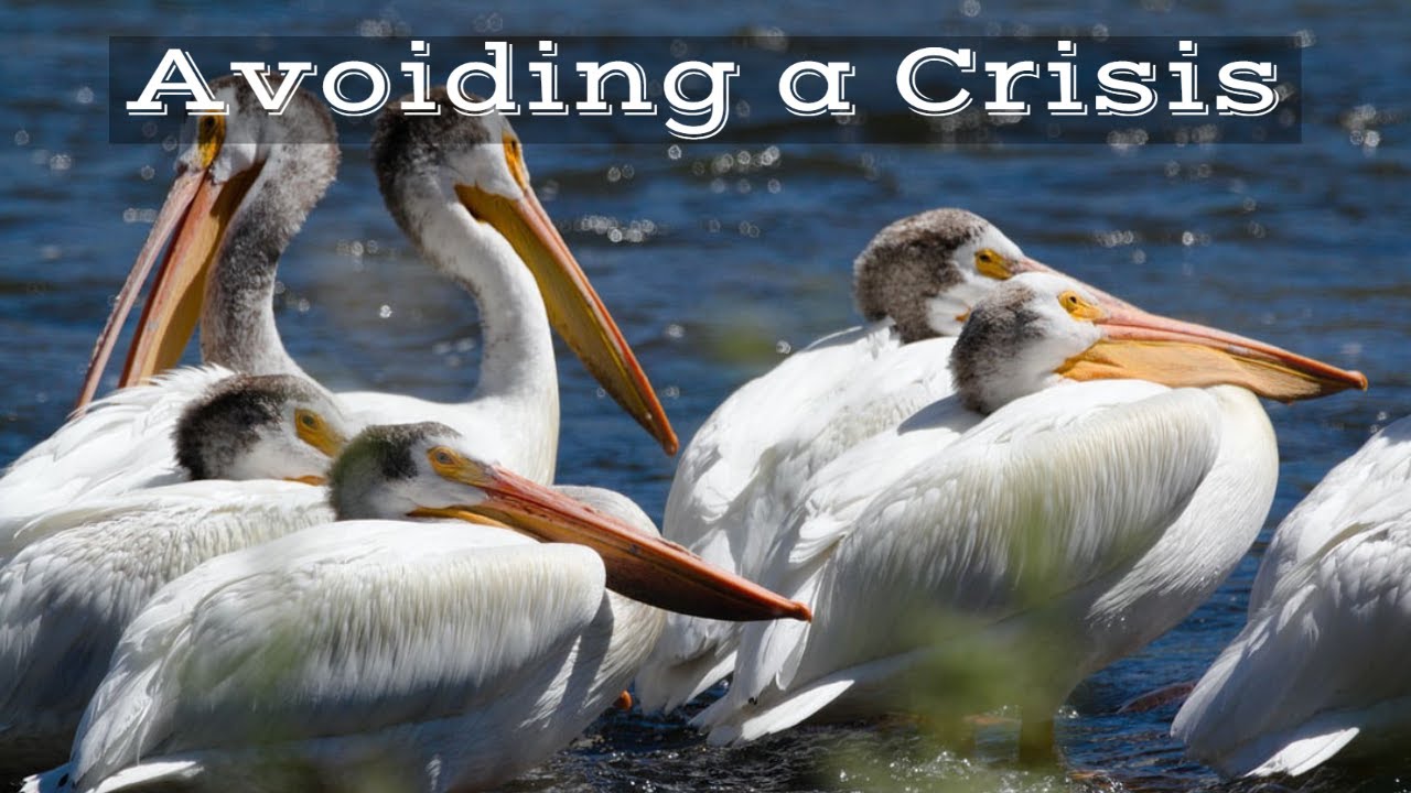 Avoiding a Crisis - YouTube