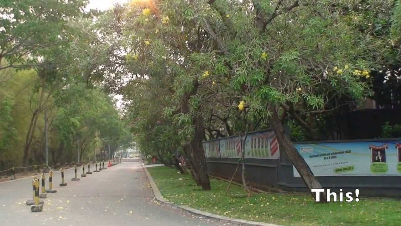 3 Problems Affecting our Community - YouTube