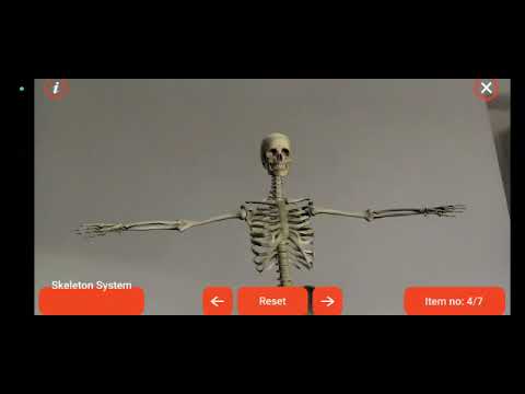 AR HUMAN ORGANS - YouTube