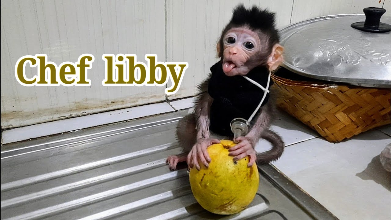 Chef libby in the kichen. I cann't leave libby alone. - YouTube