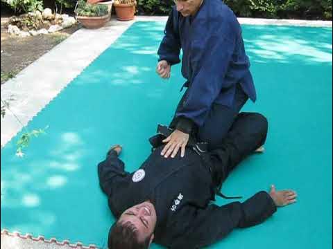 24 - 3 - WJJF / JUKO RYU Jujutsu - Kata / Techniques (12) for WJJF black belt 4rd dan - YouTube