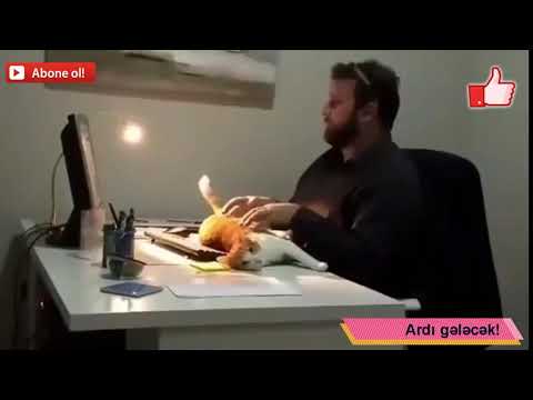 Gülməli və maraqlı video