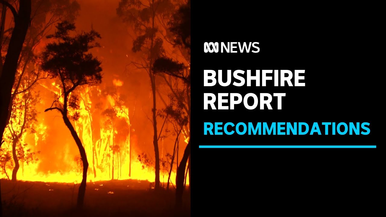 Bushfire report recommends national state of emergency, aerial ...