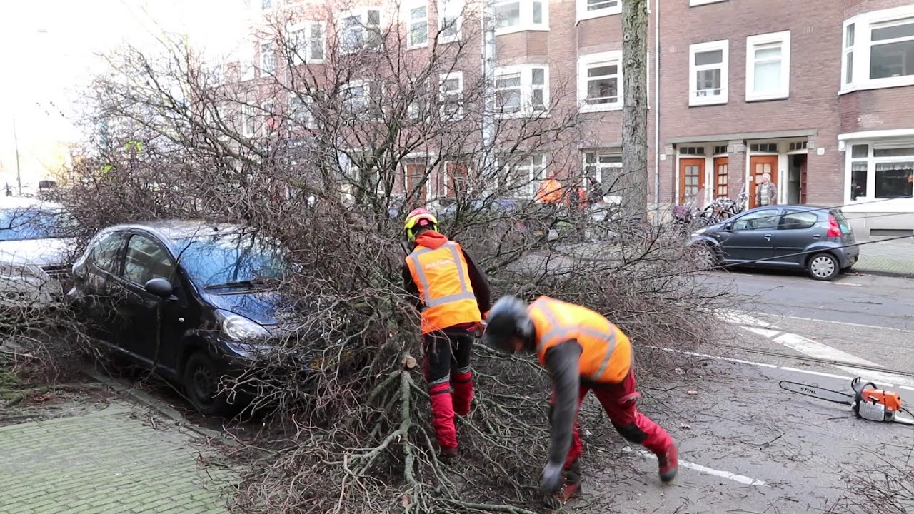 In beeld: Noord-Holland maakt de stormschade op - YouTube