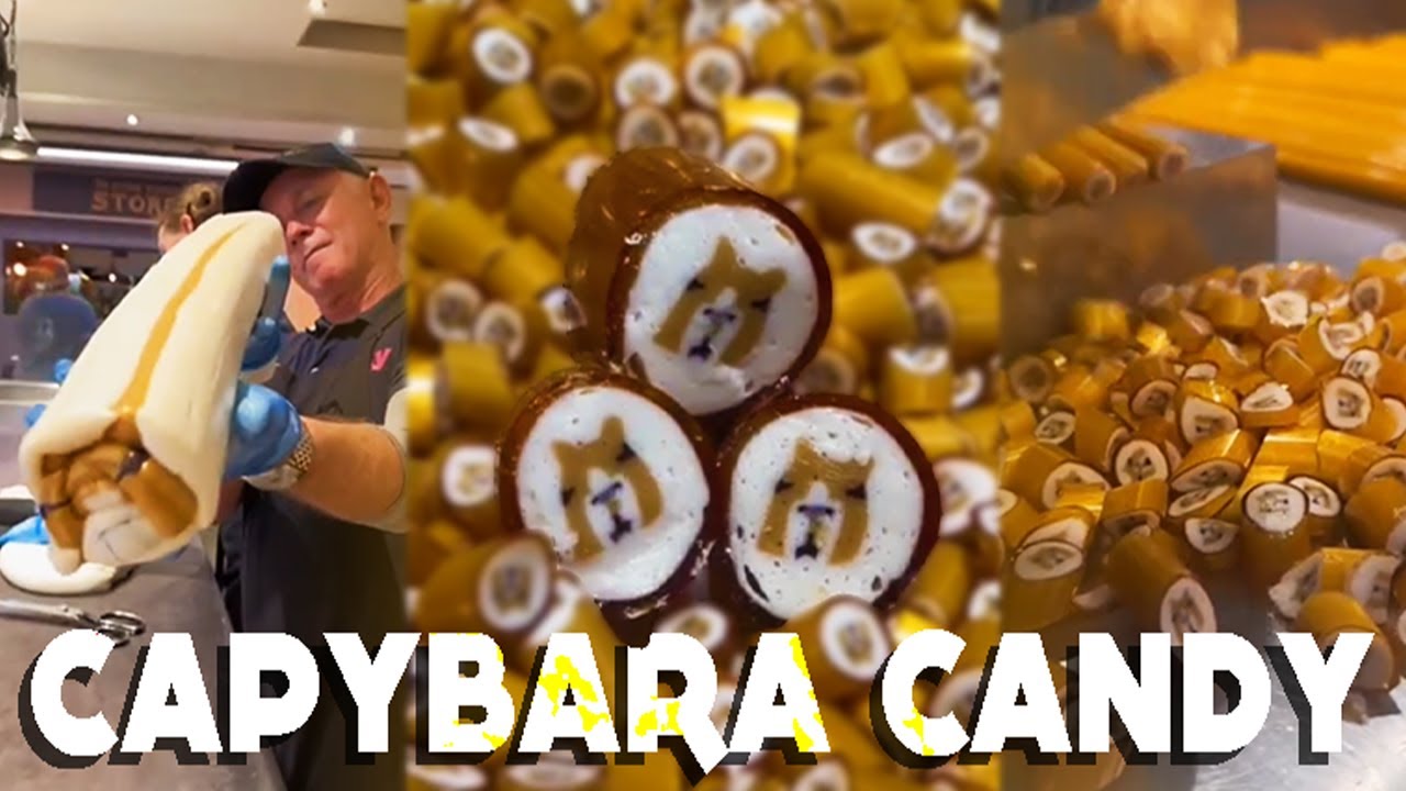 CANDY WITH A LITTLE CAPYBARA! - YouTube
