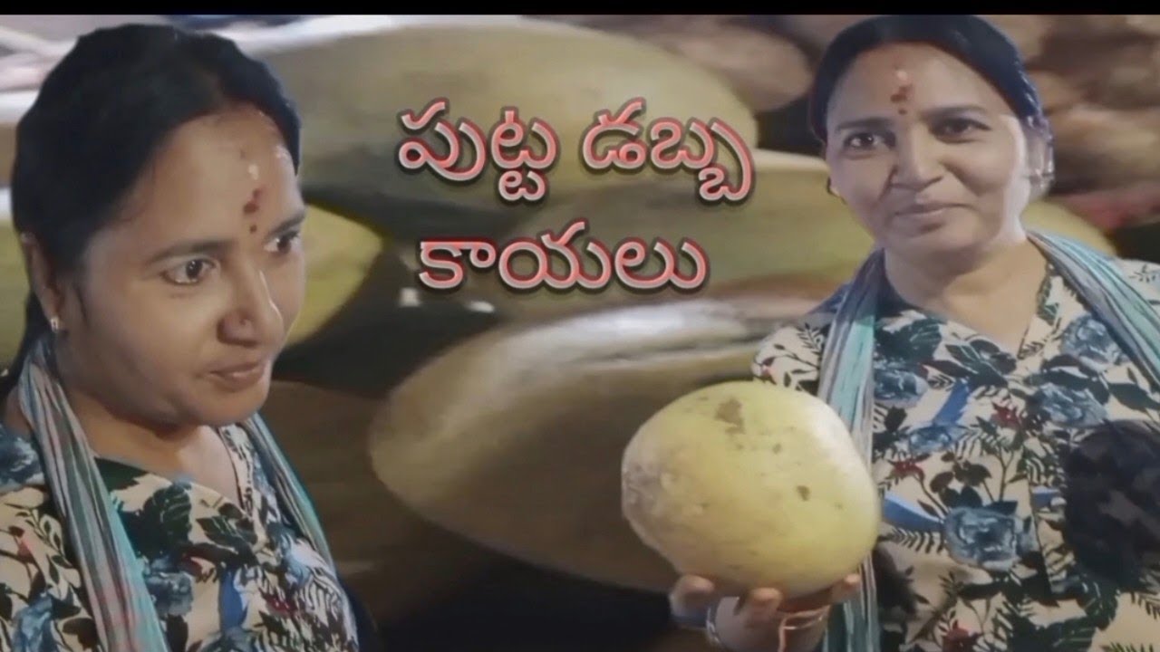 Putta dabba kaayalu - YouTube