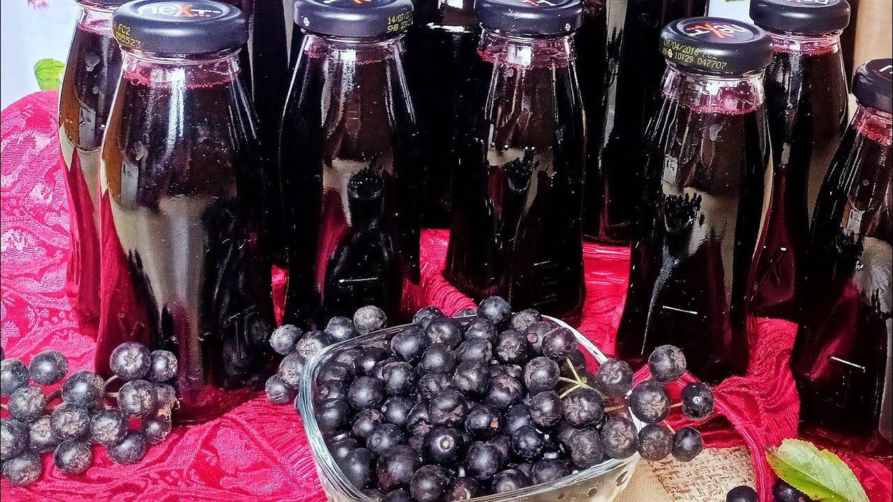 SOK OD ARONIJE-recept-kako se pravi i za sta je koristan? Bez šećera ...