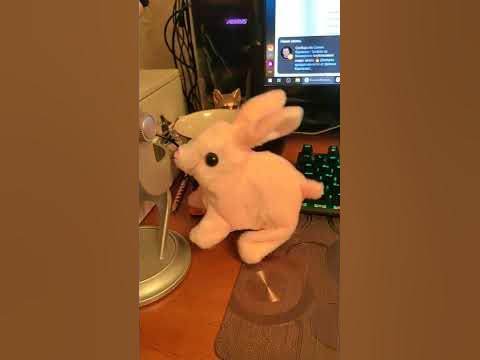 даже зайцЫ любят блю ети - YouTube