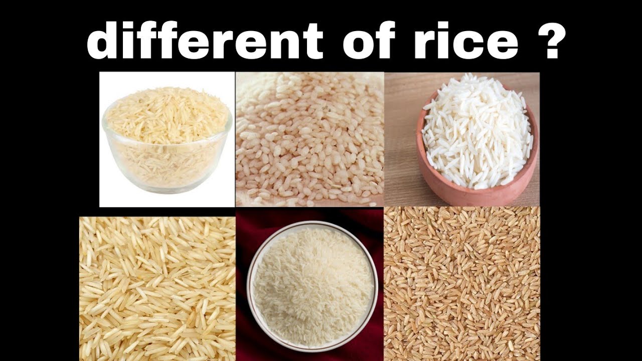Different Of Rice | Indian Sign Language | Deaf - YouTube