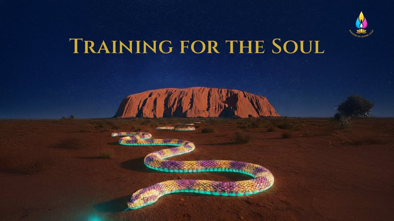 Training for the Soul: Survival, Snakes, and Synchronicity in the ...