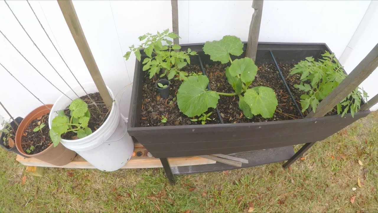 Inflation Garden 2023 Video 2 - YouTube