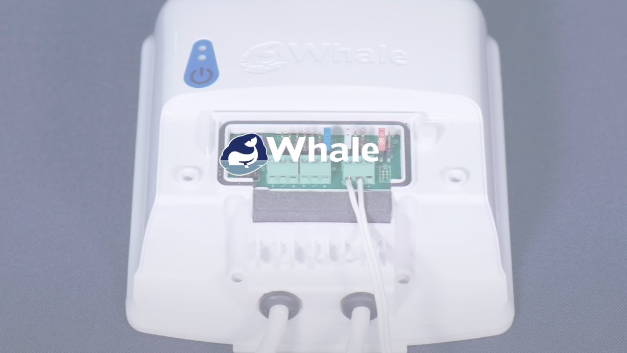 Instant Match - How to Connect Pump Overrun Switch by Whale - YouTube