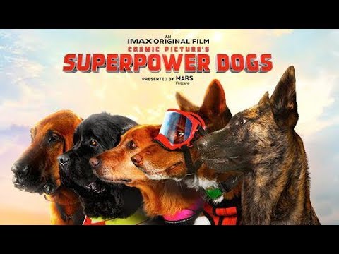 Surf Dog Ricochet's Paw'cademy Awards at IMAX Superpower Dogs film ...