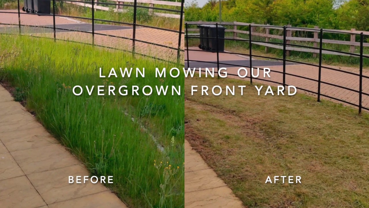 Lawn Mowing Our Overgrown Front Yard - YouTube