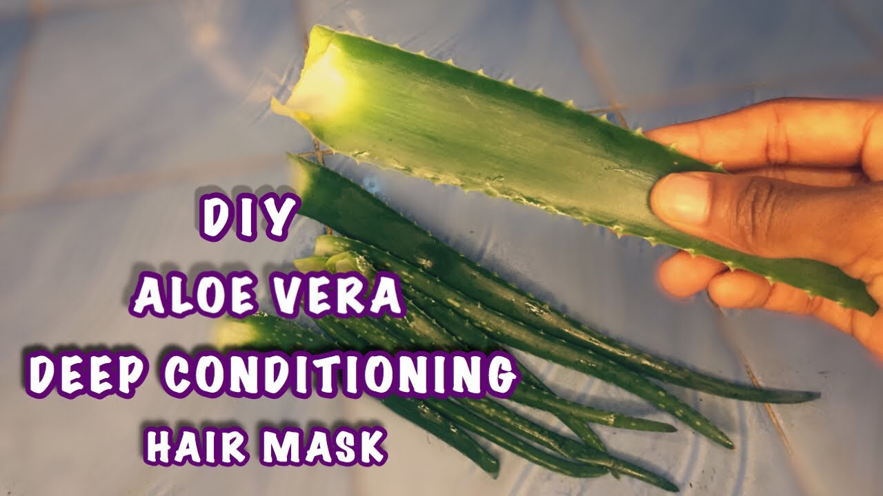 How To Diy Aloe Vera Deep Conditioning Hair Mask For Natural Hair