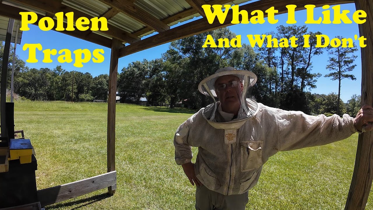 Trapping Bee Pollen | Three Traps, Three Methods - YouTube