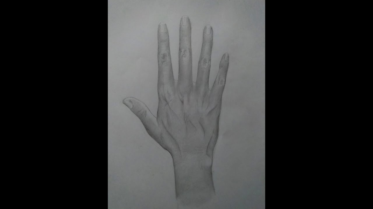 Realistic Hand Sketch Tutorial | time-lapse - YouTube