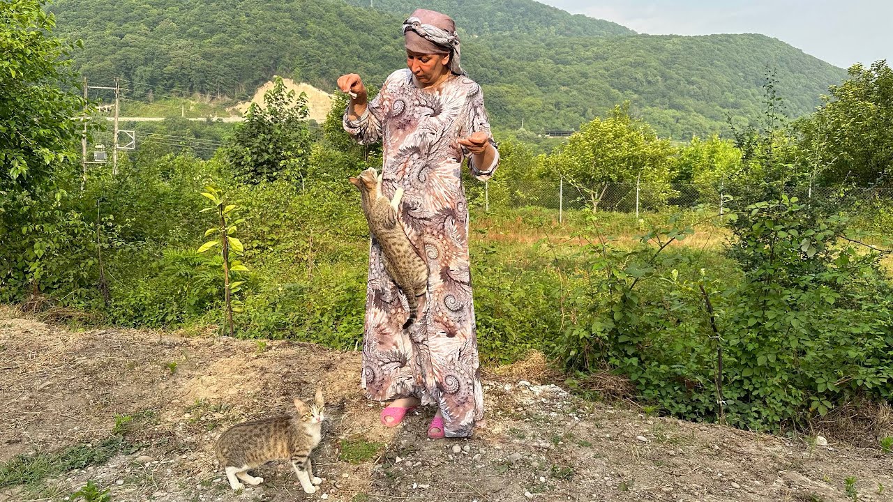 Village Lifestyle In IRAN | Iranian Village Woman | Rural Life In Iran ...