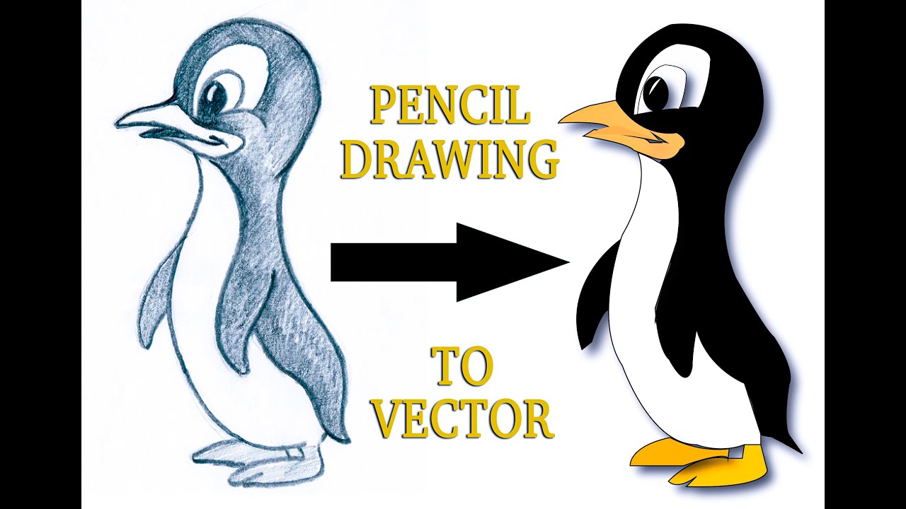 Pencil Drawing transfer into vector art - ILLUSTRATOR TUTORIAL - YouTube