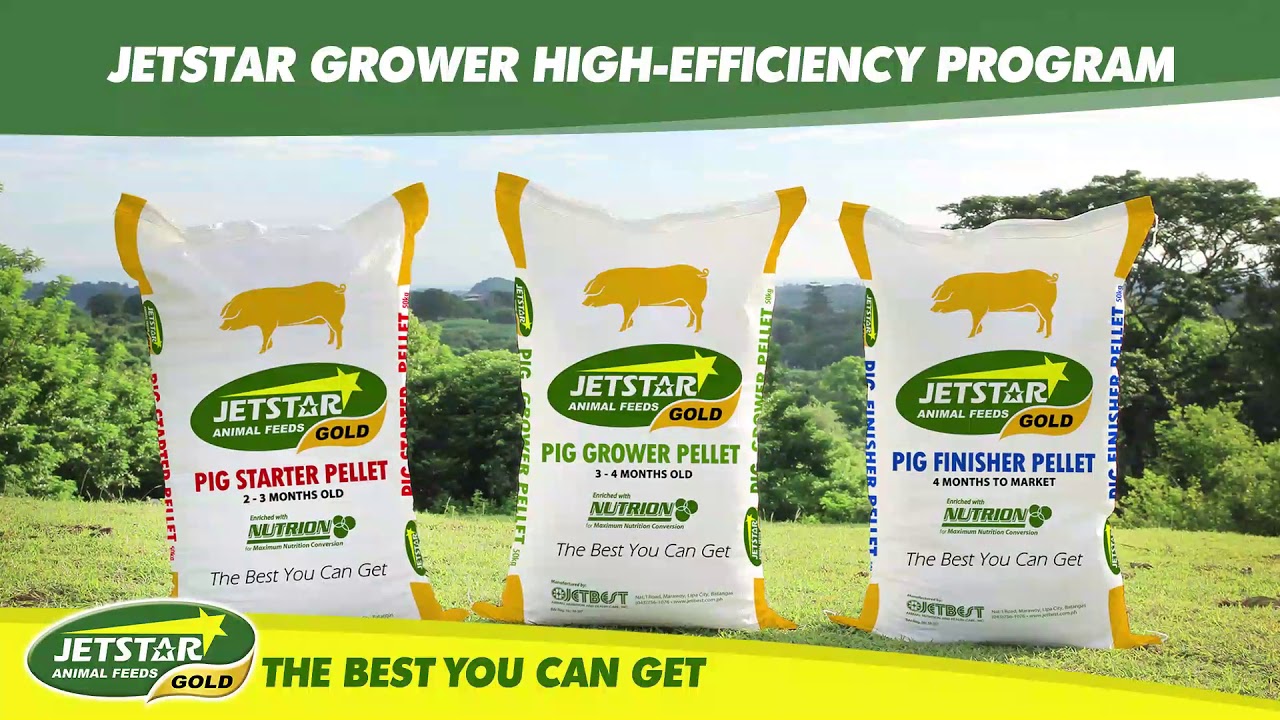 JETSTAR ANIMAL FEEDS - for broiler, layer, swine, cattle! - YouTube