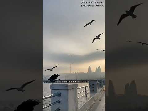 Turanə Əliyeva-Sen yaxşı adamsan.(Rəşad Mustafa