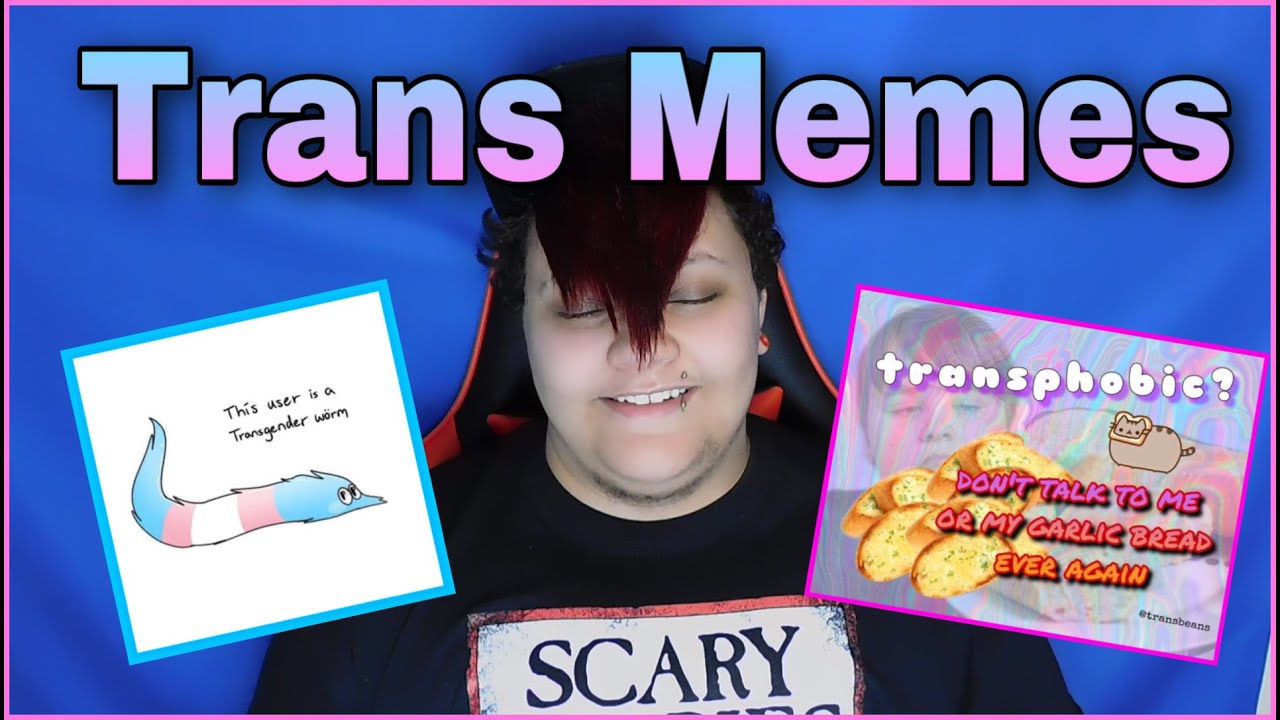 Trans Memes For Bored Beans - YouTube