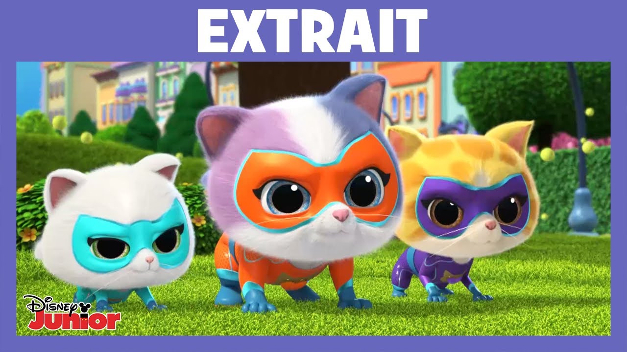 SuperChatons - Extrait : Nouveau chat-pitre - YouTube