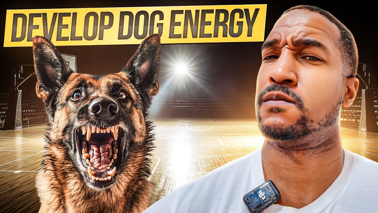 Develop A Dog Energy On the Court: Unleash Your Animal Instinct As A ...