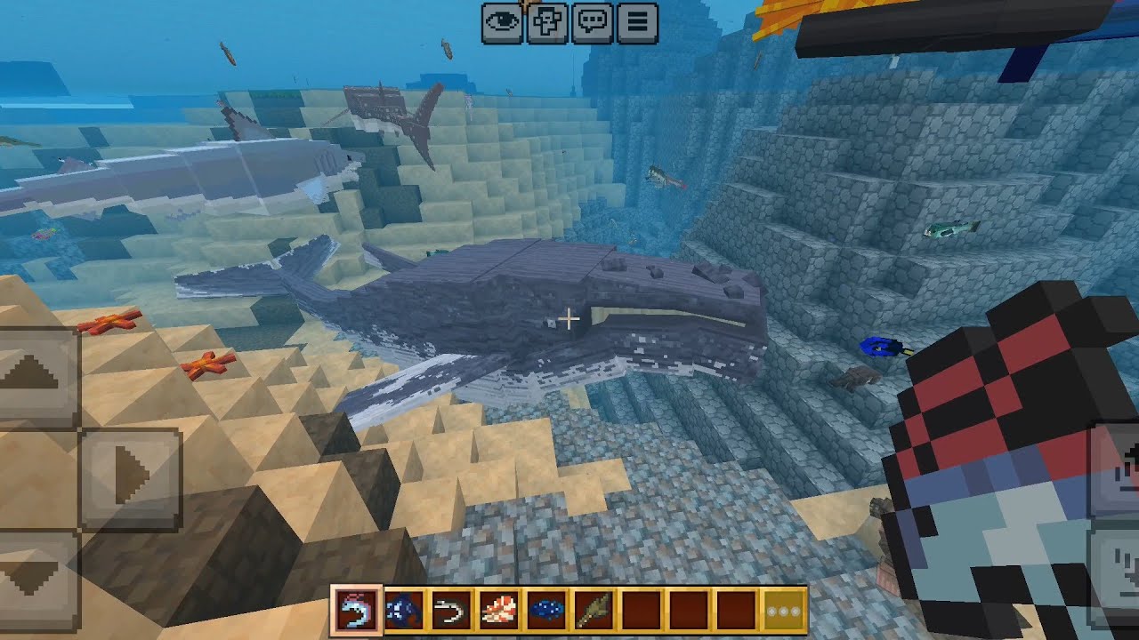 Ocean Expansion Addon in Minecraft PE/BEDROCK - YouTube