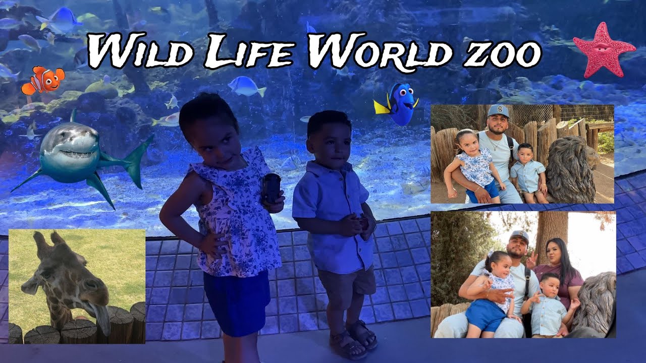 Wild Life World Zoo Vlog - YouTube