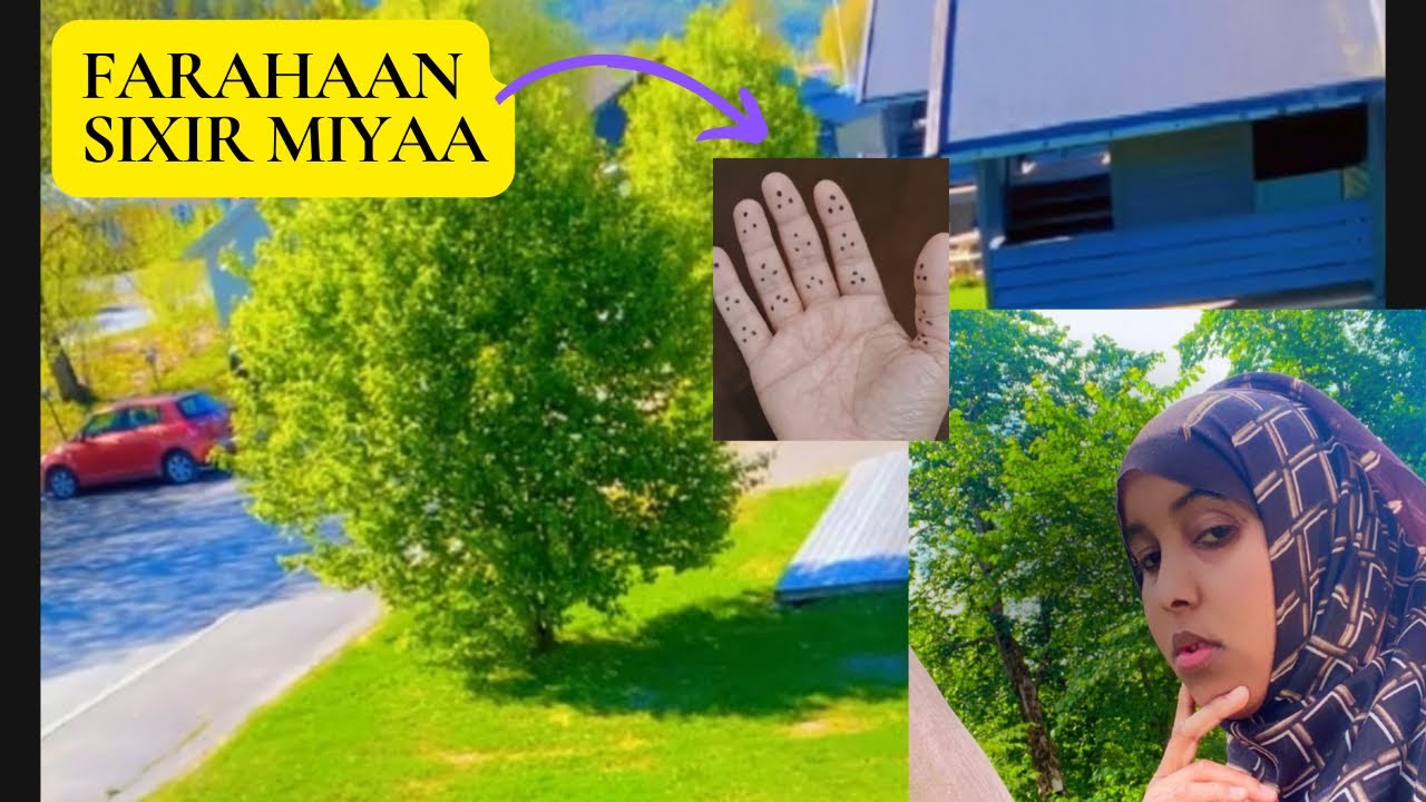 Sirta farahaan ka danbeyso waa …………. Ku ogow videogan iyo rootiin ...