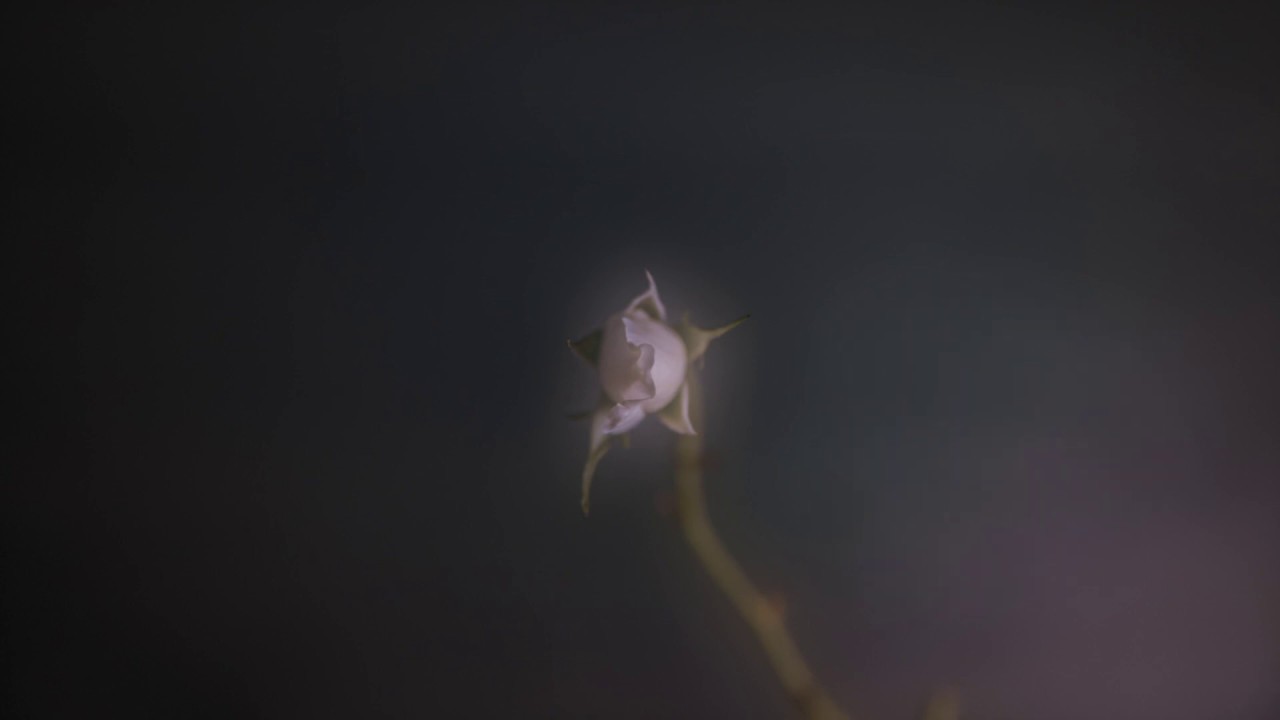 Joey Miceli - Fading (lyric video) - YouTube