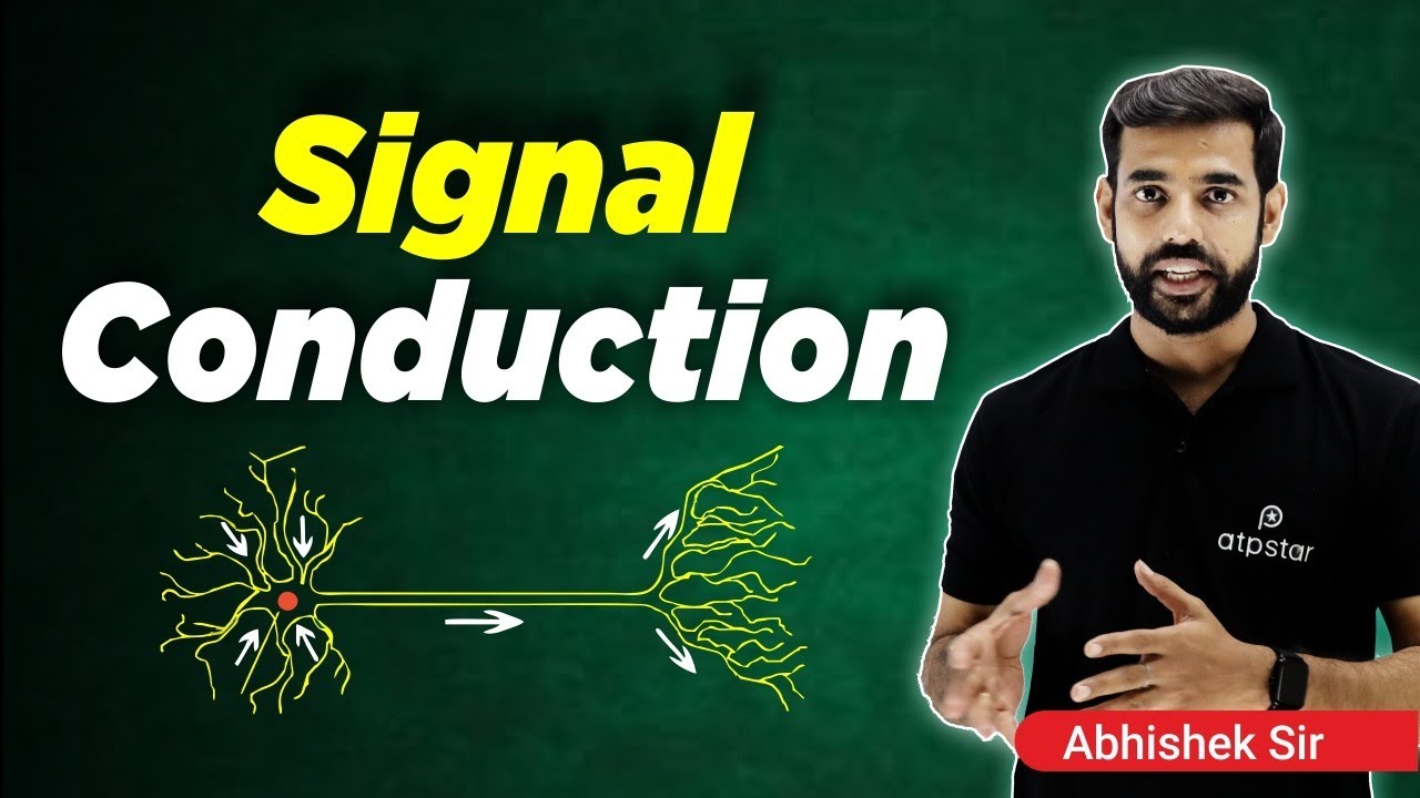 Signal Conduction through Neuron | Control and Coordination Class 10 ...
