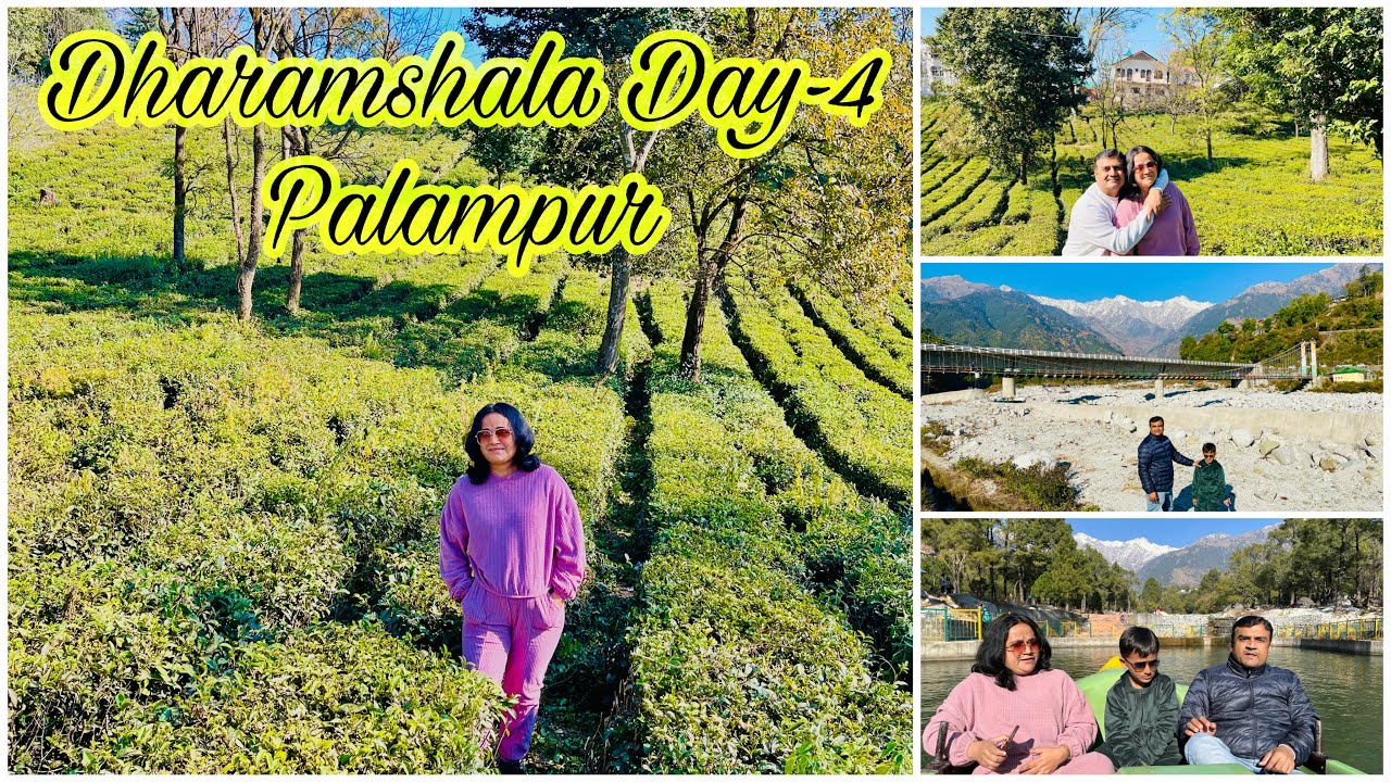 Palampur Tea garden and Nugal Cafe - Dharamshala Day 4 - YouTube