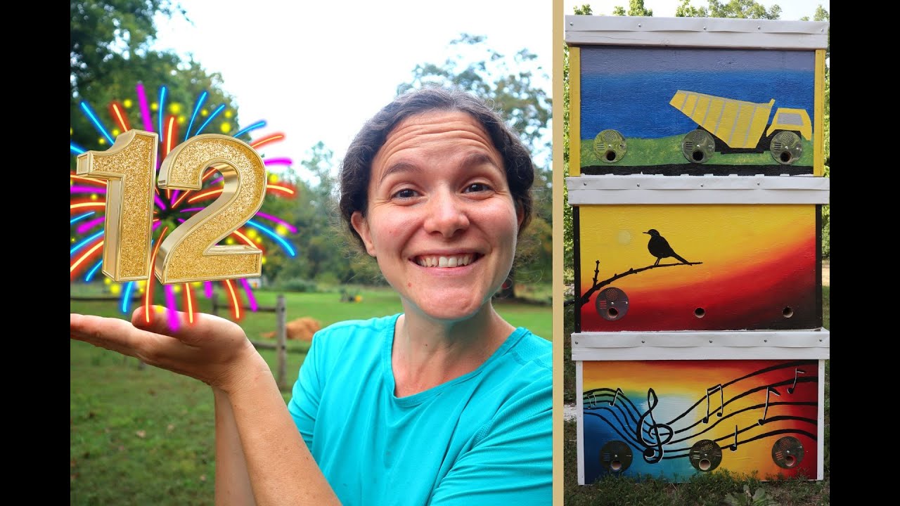 TWELVE Lessons I Learned This Time: Building SIX Layens Bee Hives ...