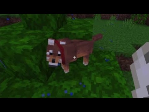 Finding the Rusty Wolf (Wolf Saga ep. 2) - YouTube