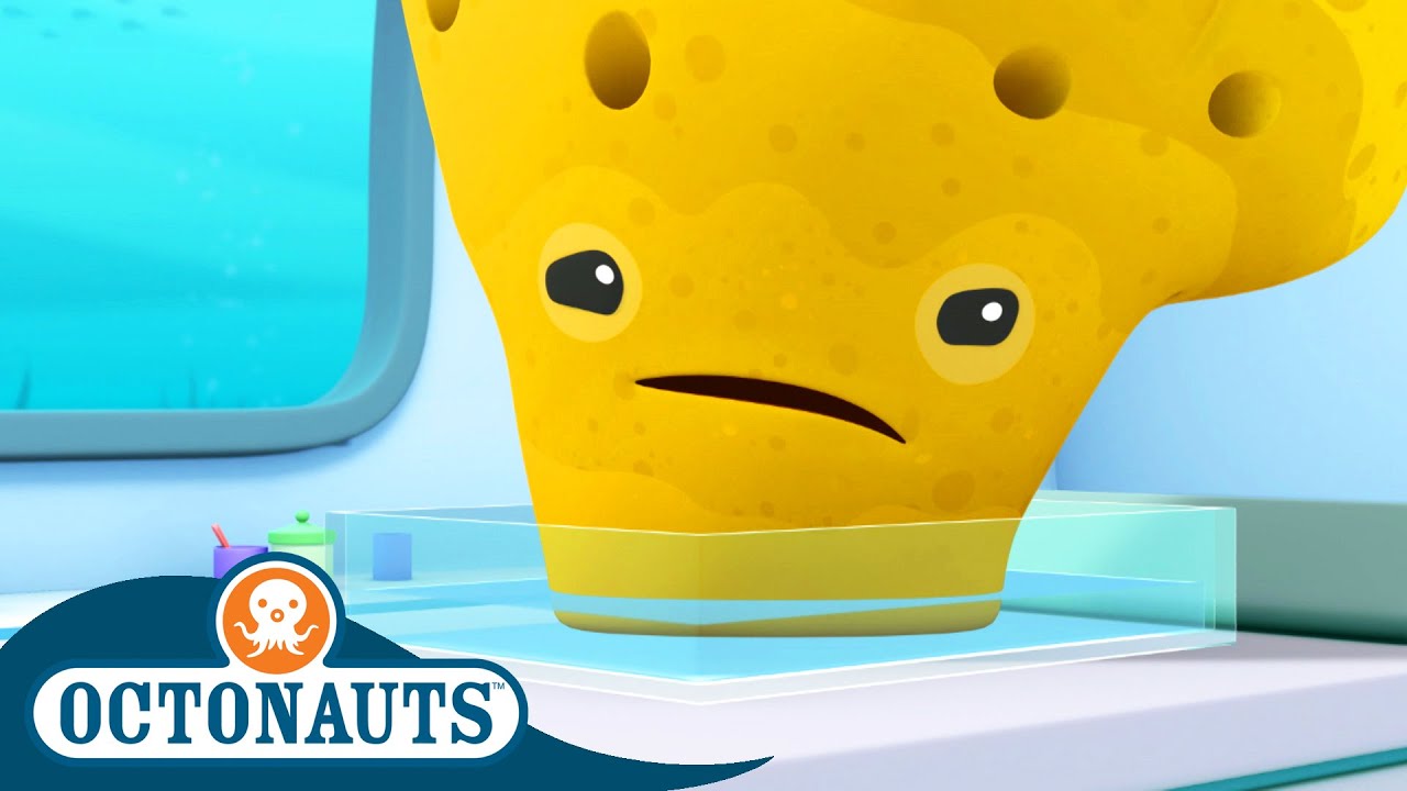 @Octonauts - The Sea Sponge | Season 3 | Full Episodes | Cartoons for ...