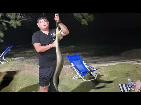 How to catch Murray Eel??? - YouTube