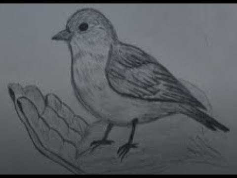 #5 Drawing a Bird on my Hand - YouTube