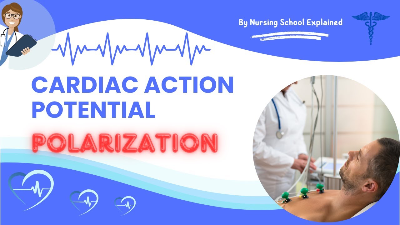 Cardiac Action Potential: Polarization #shorts - YouTube