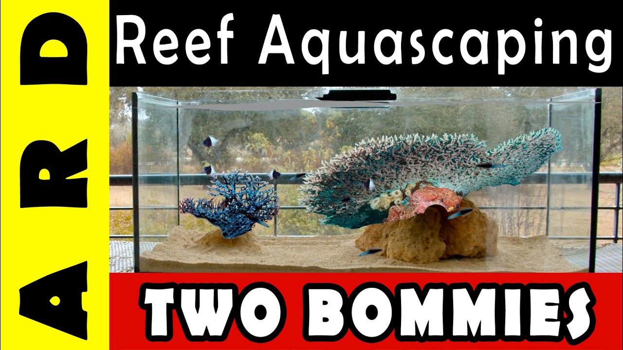 Reef Aquascaping Trials - 07 - Two bommies - YouTube