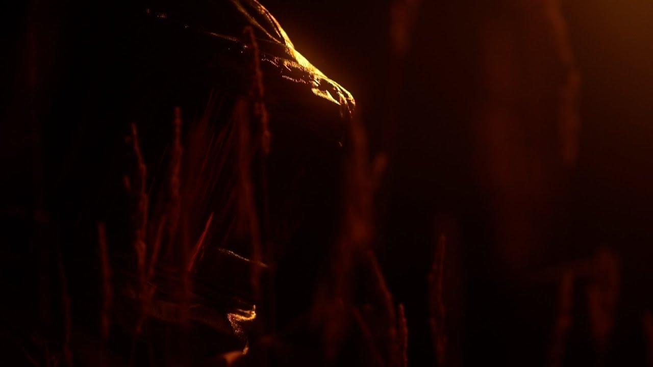 #USNIRT Different Colors Made of Tears - YouTube