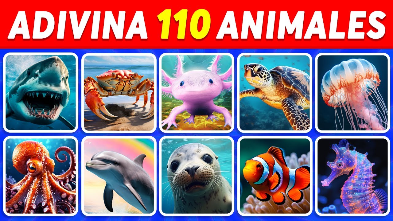 Adivina 110 ANIMALES MARINOS en 3 segundos | FÁCIL a IMPOSIBLE - YouTube