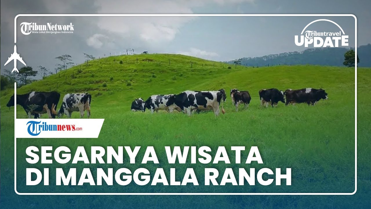 Kunjungi Manggala Ranch, Destinasi Wisata Menarik di Banyumas yang ...