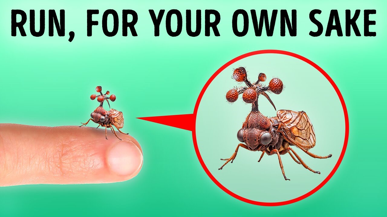 Red Flag Moments: Escape Before It’s Too Late - YouTube