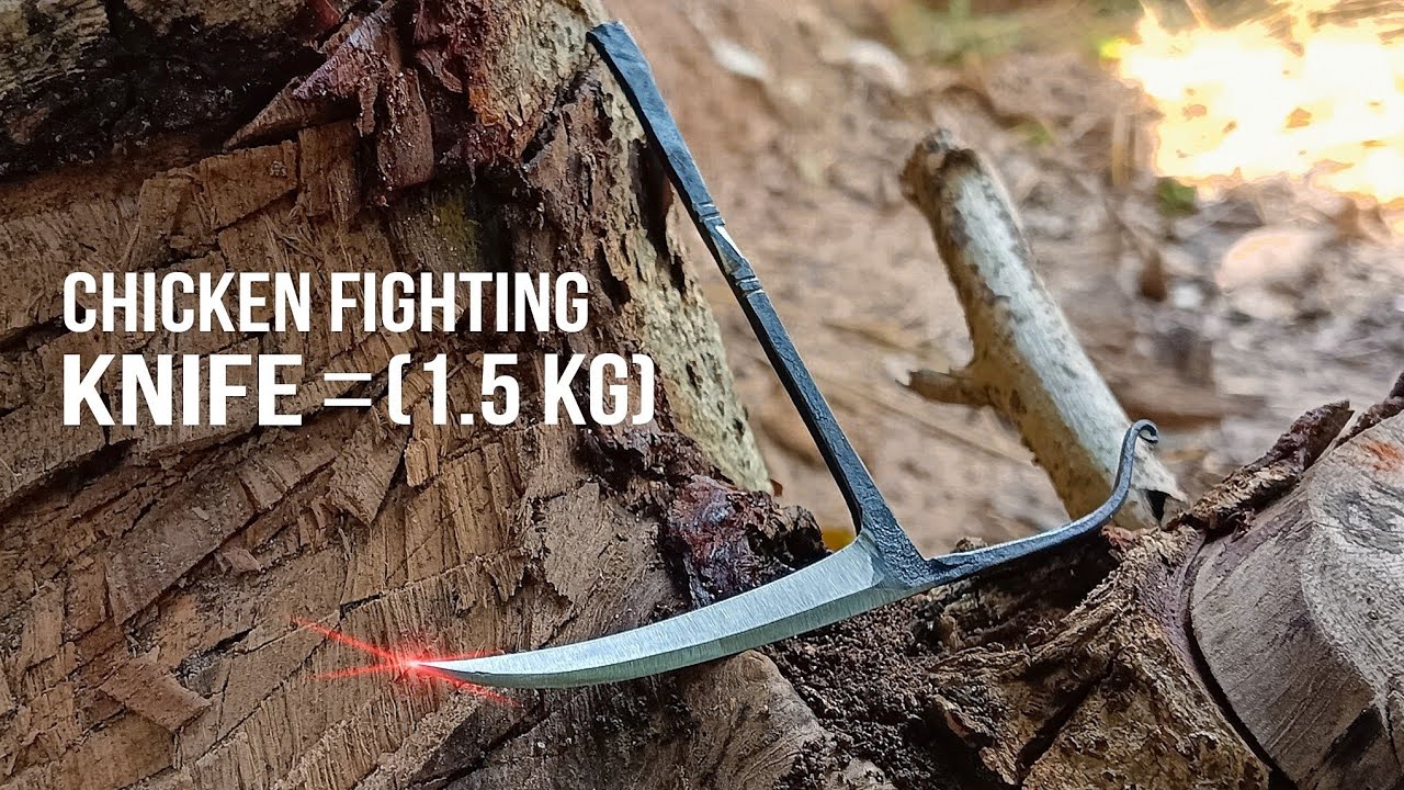 (1.5kg || Chicken Fighting Knife Made Up) - YouTube