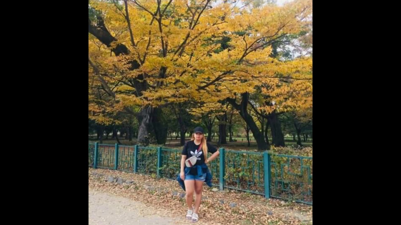 autumn feels like - YouTube